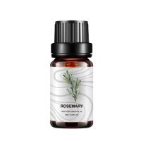 China Medicine Organic Rosemary Essential Oil Hair 10ml Face And Body MSDS ODM for sale