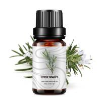 China Medicine Organic Rosemary Essential Oil Hair 10ml Face And Body MSDS ODM for sale