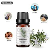 China Medicine Organic Rosemary Essential Oil Hair 10ml Face And Body MSDS ODM for sale