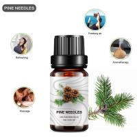 China 10ml Pine Needle Essential Oil Aromatherapy Organic Pine Needle Oil MSDS for sale