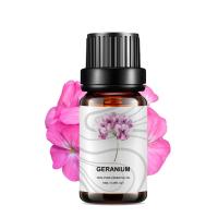 China Face Care Pure Geranium Essential Oil Aromatherapy 10ml Massage Diffuser ODM for sale