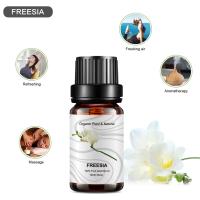 China OEM Pure Natural Essential Oils 20ml Freesia Essential Oil Aromatherapy Massage for sale