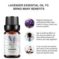 China 1000ml Lavender Essential Oil OEM Lavender Pure Essential Oil MSDS for sale