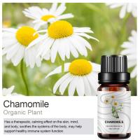 China 15ml Pure Plant Essential Oil Soothing Chamomile Essential Oil Skin Care OEM for sale