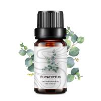 China 5ml Home Fragrance Essential Oils Plant Eucalyptus COA OEM For Medicine for sale