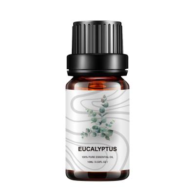 China 5ml Home Fragrance Essential Oils Plant Eucalyptus COA OEM For Medicine for sale