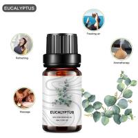 China 5ml Home Fragrance Essential Oils Plant Eucalyptus COA OEM For Medicine for sale