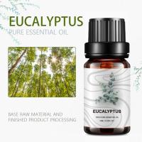 China 5ml Home Fragrance Essential Oils Plant Eucalyptus COA OEM For Medicine for sale