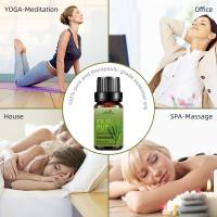 China White Cosmetic Essential Oils 10ml Melaleuca Pure Essential Oils MSDS for sale