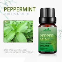 China 100ml 100% Pure Natural Peppermint Oil Massage Oil Aromatherapy USDA COA for sale