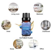 China 100% Pure Perfume Juniper Berry Fragrance Oil 10ml COA For Air Freshening for sale