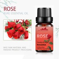 China 10ml 100% Organic Natural Rose Essential Oil Body Massage SPA Aroma OEM MSDS for sale