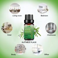 China 10ml Rosemary Natural Essential Oil Aromatherapy COA OEM Custom Private Labele for sale