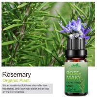 China 10ml Rosemary Natural Essential Oil Aromatherapy COA OEM Custom Private Labele for sale