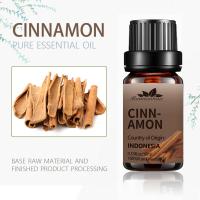 China 5ml 100% Pure Cinnamon Essential Oil Natural Aromatherapy Oil Massage Spa ODM CE for sale