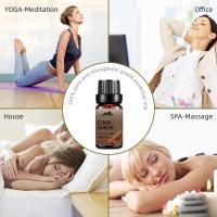 China 5ml 100% Pure Cinnamon Essential Oil Natural Aromatherapy Oil Massage Spa ODM CE for sale