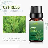China 100% Pure Body Essential Oils Perfume 20ml Organic Cypress Essential Oil ODM for sale