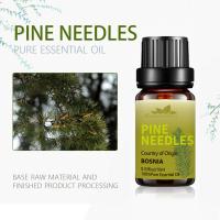 China Natural White Pine Needle Essential Oil 10ml Skin Care Oil Pure MSDS OEM for sale
