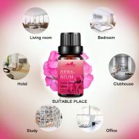 China Volume 5ml Body Essential Oils Perfume OEM / ODM Organic Geranium Essential Oil for sale