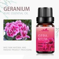 China Volume 5ml Body Essential Oils Perfume OEM / ODM Organic Geranium Essential Oil for sale