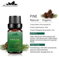 China MSDS Approved Leaves Pure Natural Essential Oils For Body Care for sale