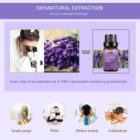 China Lavender Home Fragrance Essential Oils Compound 100ml OEM 100% for sale