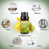 China Yellow Body Essential Oils Perfume USDA 25kg Pure Ylang Ylang Essential Oil Skin for sale