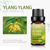 China Yellow Body Essential Oils Perfume USDA 25kg Pure Ylang Ylang Essential Oil Skin for sale