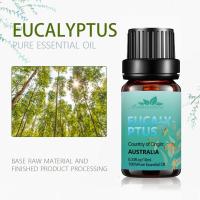 China Natural 100% Pure Eucalyptus Essential Oil Aromatherapy 100ml OEM FDA for sale