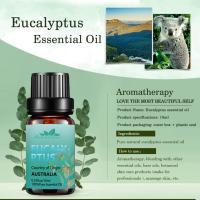 China Natural 100% Pure Eucalyptus Essential Oil Aromatherapy 100ml OEM FDA for sale