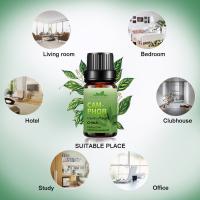 China 30ml Body Essential Oils Perfume FDA Camphor Essential Oil Aromatherapy for sale