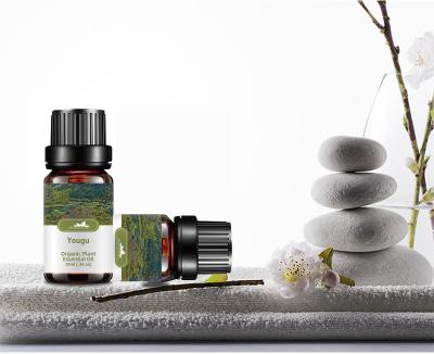 China Body Massage Home Fragrance Essential Oils Nature 30ml Compound USDA for sale