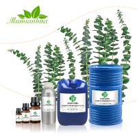 China 25kg Eucalyptus Essential Oil Bulk USDA Cosmetic Grade For Medicine for sale