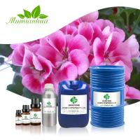 China ODM Rose Geranium Essential Oil Skin Care Fragrance Aromatherapy for sale