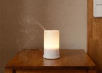 China Home Electric Aroma Diffuser Machine Aroma Mist Diffuser 100ml for sale