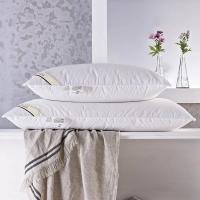 China Rectangle Duck Down Hotel Like Pillows King Size Hotel Pillows With Woven Technics for sale