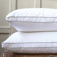 China 5 Star White Duck Down Hotel Quality Pillowcases Hotel Luxury Pillow Cases for sale