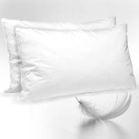 China 100% Cotton Soft Hotel Pillows Duck Feather Comfortable And High Durability for sale