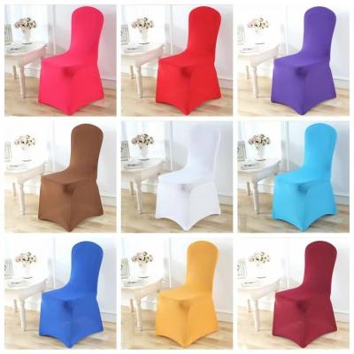 China Solid Color Spandex Banquet Chair Caps Stretch Wedding Chair Covers for sale