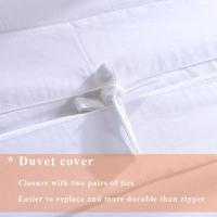 China Queen Size Hotel Bed Sheet with Customization and Sophisticated Stripe Design for sale