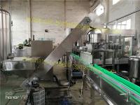 China CGF40-40-12 250-2000ml Water Bottle Filling Machine 16000-18000BPH Mineral Water Plant for sale