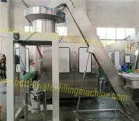 China Custom PET Automatic Bottle Filling Machine 15000BPH Mineral Water Making Machinery for sale