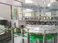 China Automatic 3-in-1 PET Bottled Water Filling Machine 15000 BPH Rinsing Filling Capping for sale