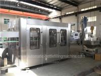China Rotary Liquid Bottle Filling Machine Fully Automatic Mineral Water Plant 3000-30000 BPH for sale