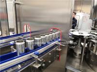 China Automatic Juice Beverage Can Filling Machine 330ml Can Filler Seamer Line 6000-12000 BPH for sale