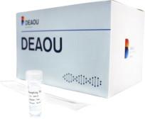 China High Accuracy Rapid Test Kit Virus Nucleic Acid Purification Reagents for sale