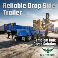 China Pallet Transport Sidewall Semi Trailer 20000kg-70000kg Cargo Container Trailer for sale