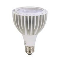 China Customized 32W PAR30 Led Spotlight Bulb 20 Degree 2700k Very Warm White 230v Non Dimmable for sale