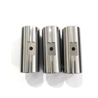 China Long Lifespan Excellent Abrasion Resistance Tungsten Carbide Die Polished for sale
