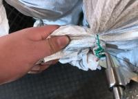 China Building BWG22 2500pcs 350mpa Carbon Steel Bar Tie Wire for sale